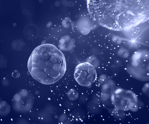 EBO2 Ozone Therapy in Dubai at Lifespan